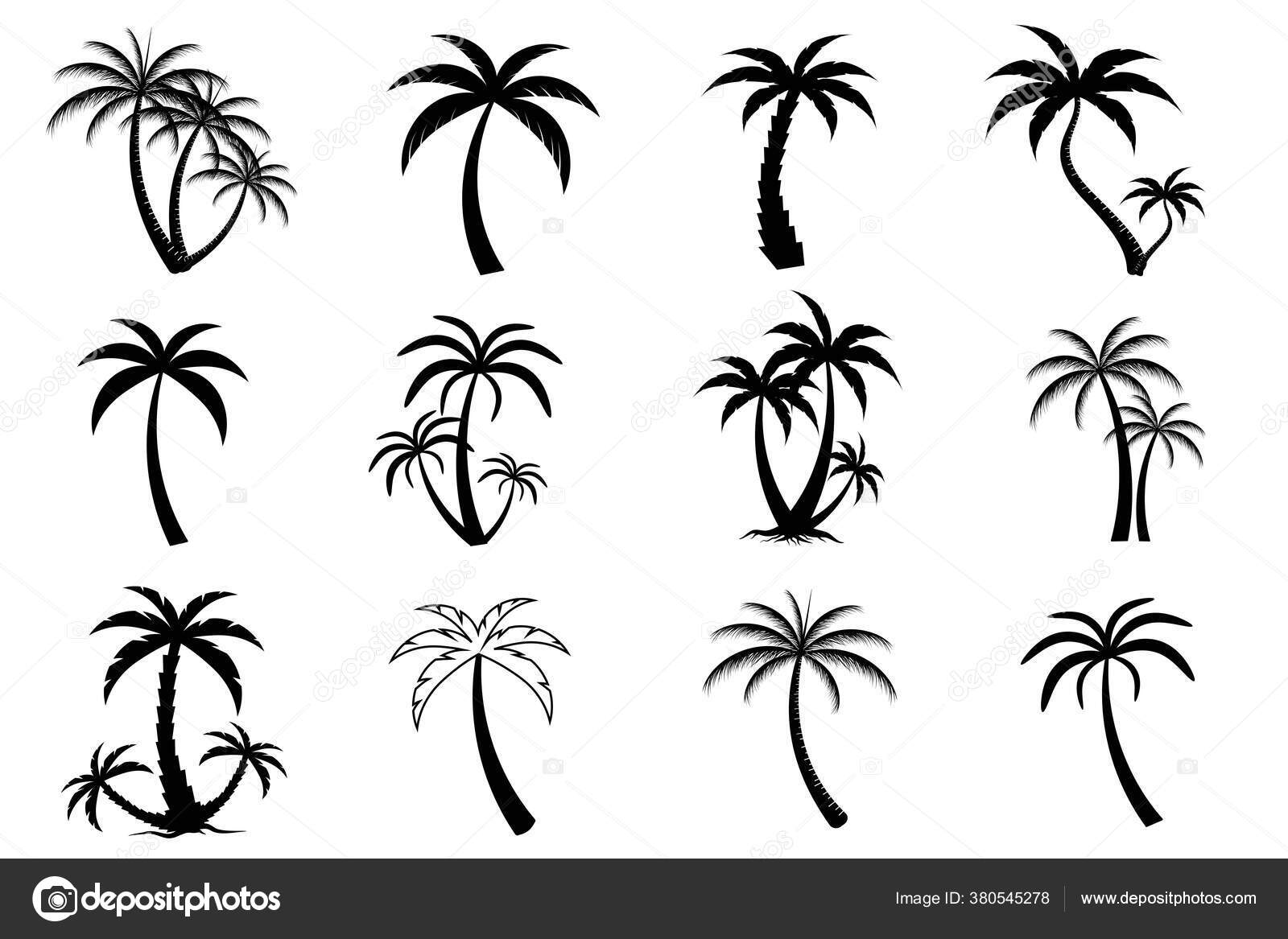 Collection Black Coconut Trees Icon Can Used Illustrate Any Nature ...