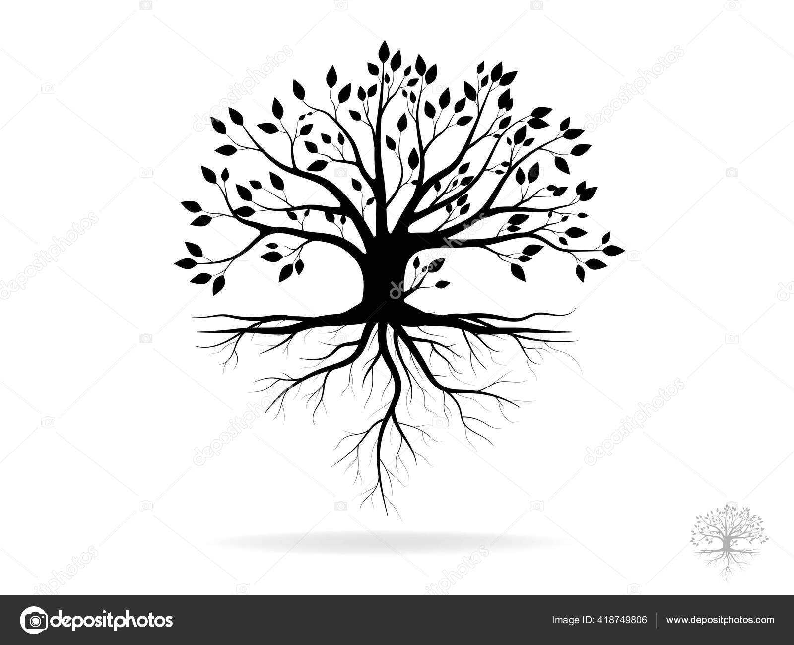 Black And White Tree With Roots