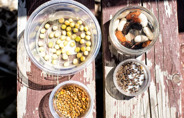 Seed soaking Stock Photos, Royalty Free Seed soaking Images | Depositphotos