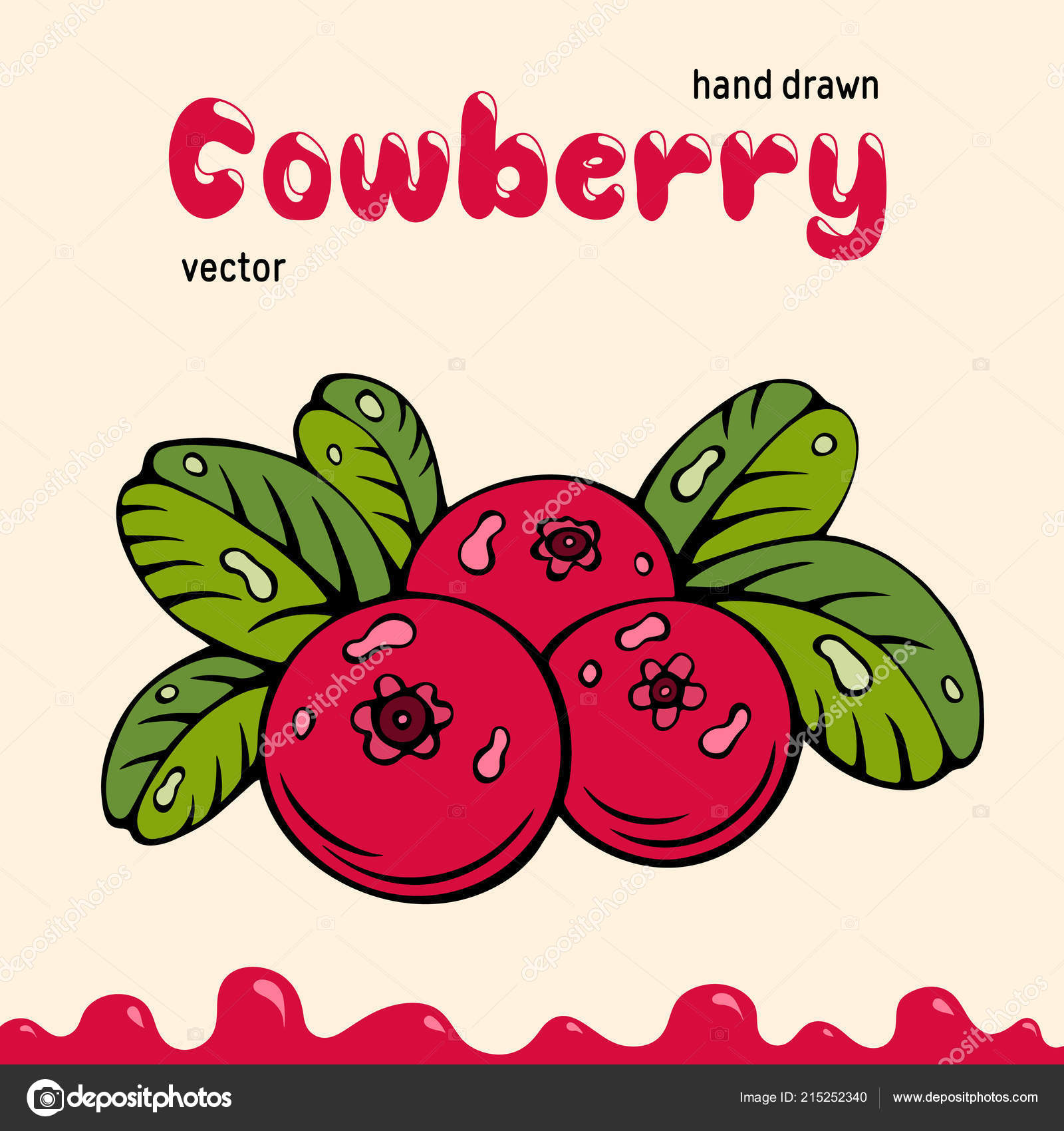 Lingonris vektorillustration, bär bilder. Doodle lingonris ...