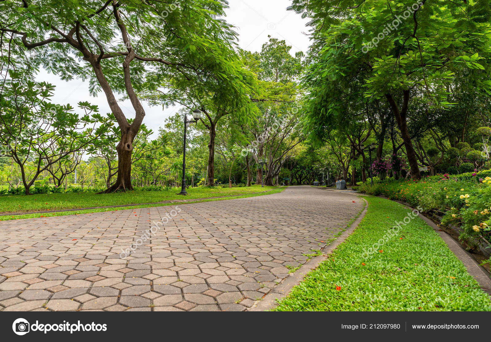 Sidewalk Path Pathway Park Park Pathway Park Pathway By The River