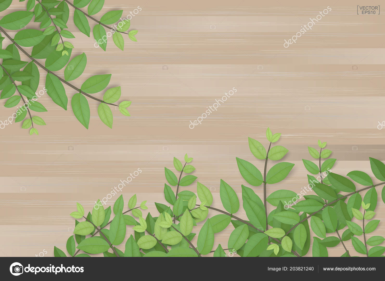 Ramas Hojas Verdes Sobre Fondo Textura Madera Marrón Ilustración ...