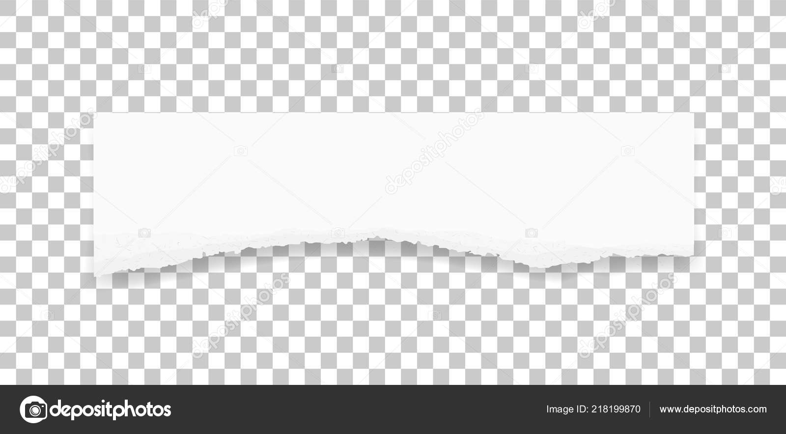 Ripped White Paper Texture