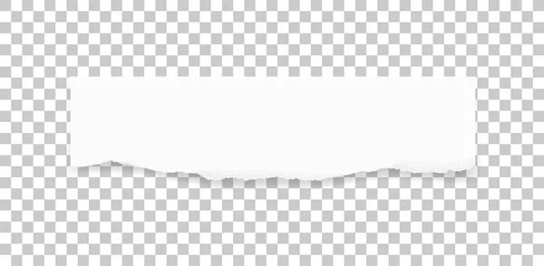 Kertas Robek Tepi Untuk Latar Belakang Tekstur Kertas Robek Pada Vektor ...