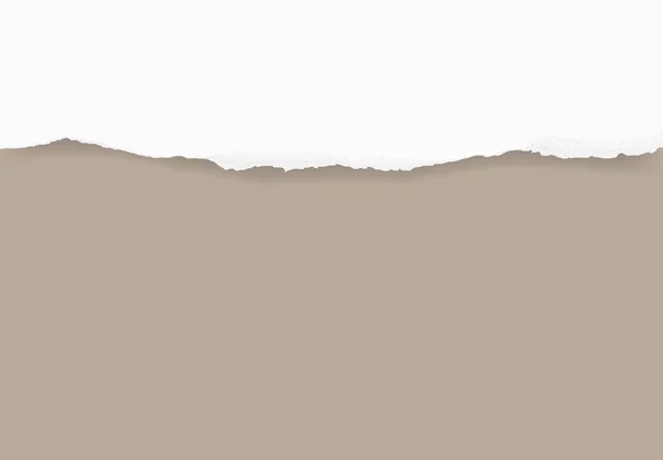 White page rip Stock Vector Image by ©Nicemonkey #3408561