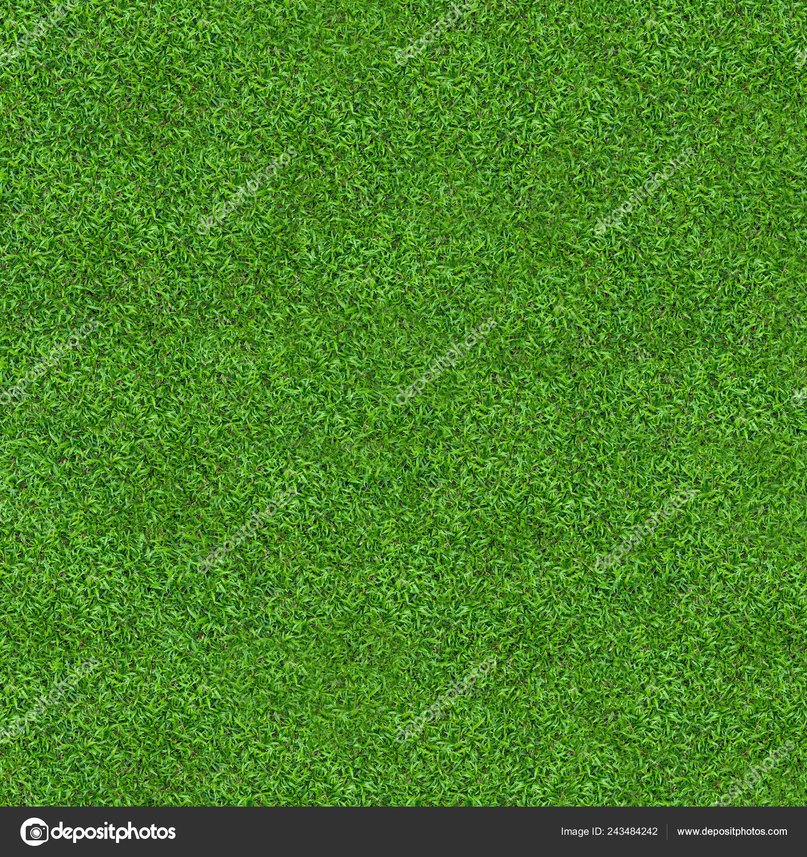 Grass Background Pattern