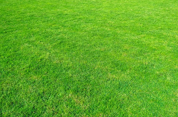 Lambeau field Stock Photos, Royalty Free Lambeau field Images ...