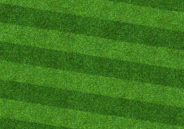 Green Grass Texture Background Green Lawn Pattern Texture Background ...