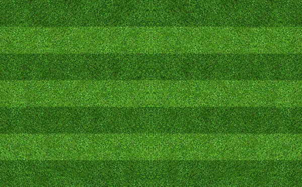 Football Field Grass Texture