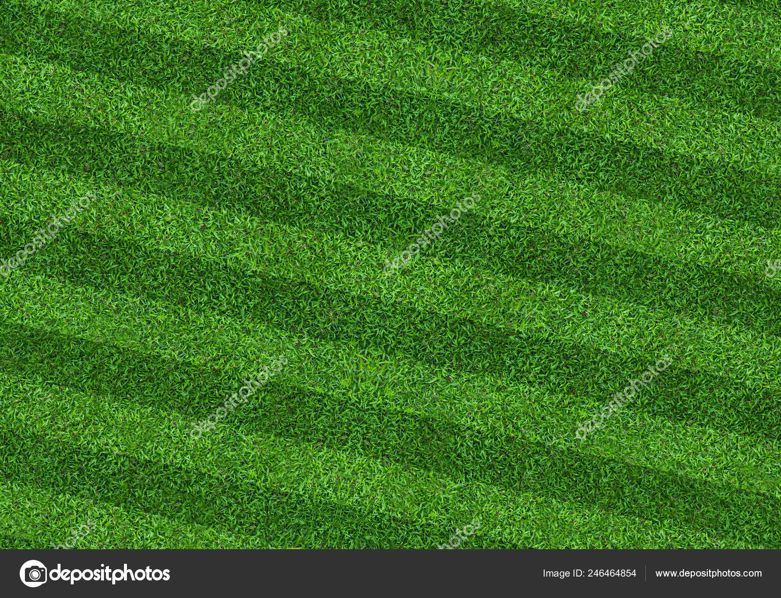 Green Grass Texture Background Green Lawn Pattern Texture Background ...