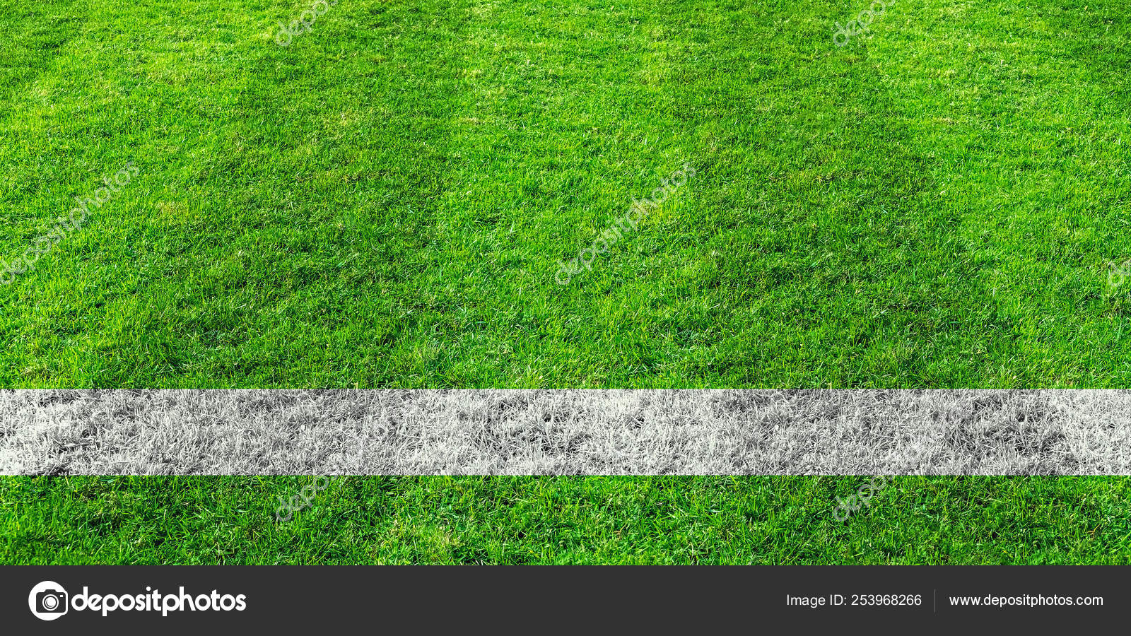 Soccer line in green grass of soccer field. Green lawn field pat ...