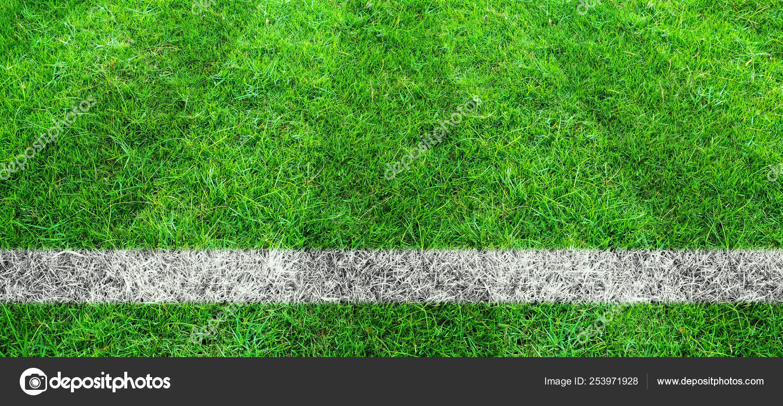 Soccer line in green grass of soccer field. Green lawn field pat ...
