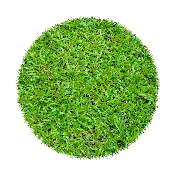 Abstract Green Grass Texture Background Circle Green Grass Pattern ...