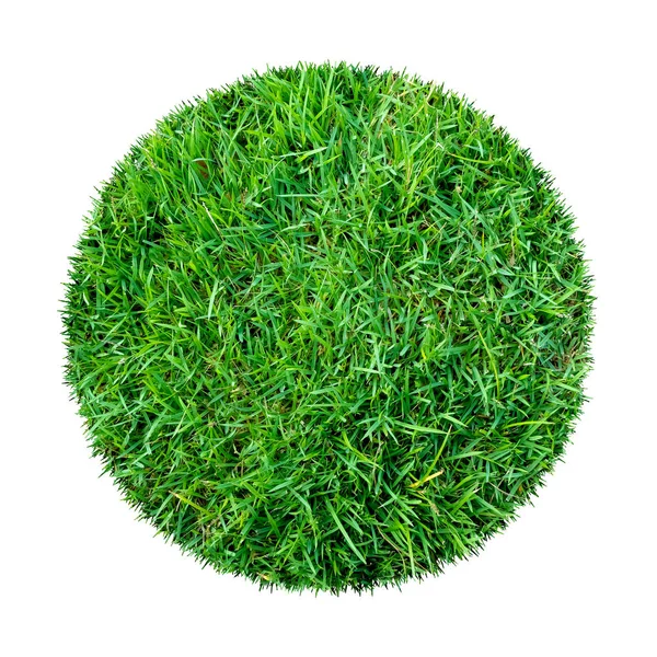 Abstract Green Grass Texture Background Circle Green Grass Pattern ...