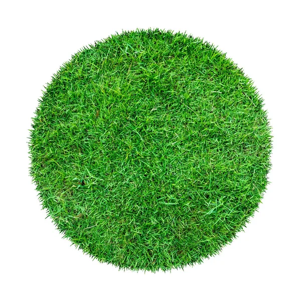 Abstract Green Grass Texture Background Circle Green Grass Pattern ...