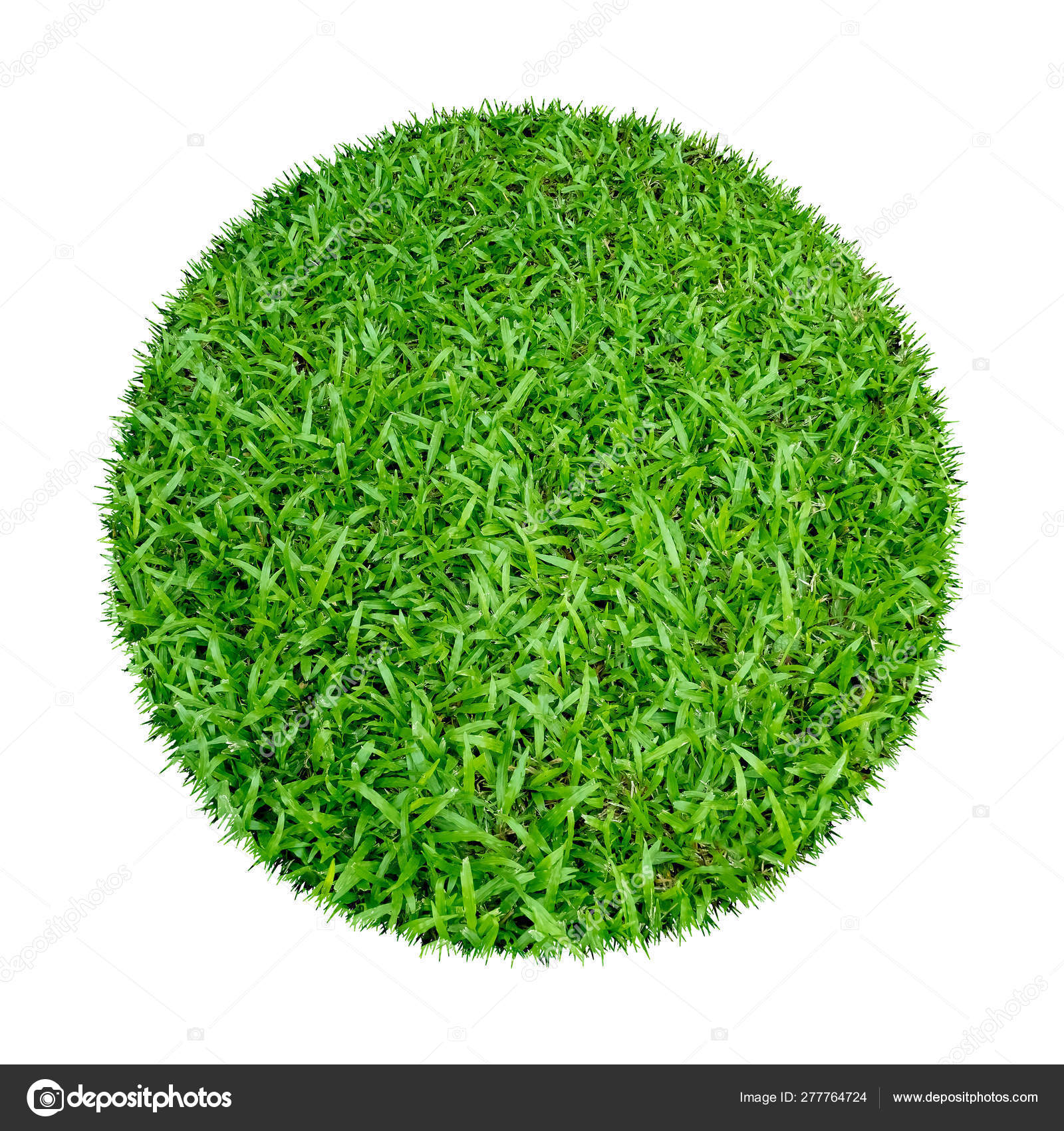 Abstract Green Grass Texture Background Circle Green Grass Pattern ...