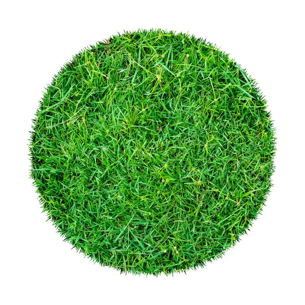 Abstract Green Grass Texture Background Circle Green Grass Pattern ...