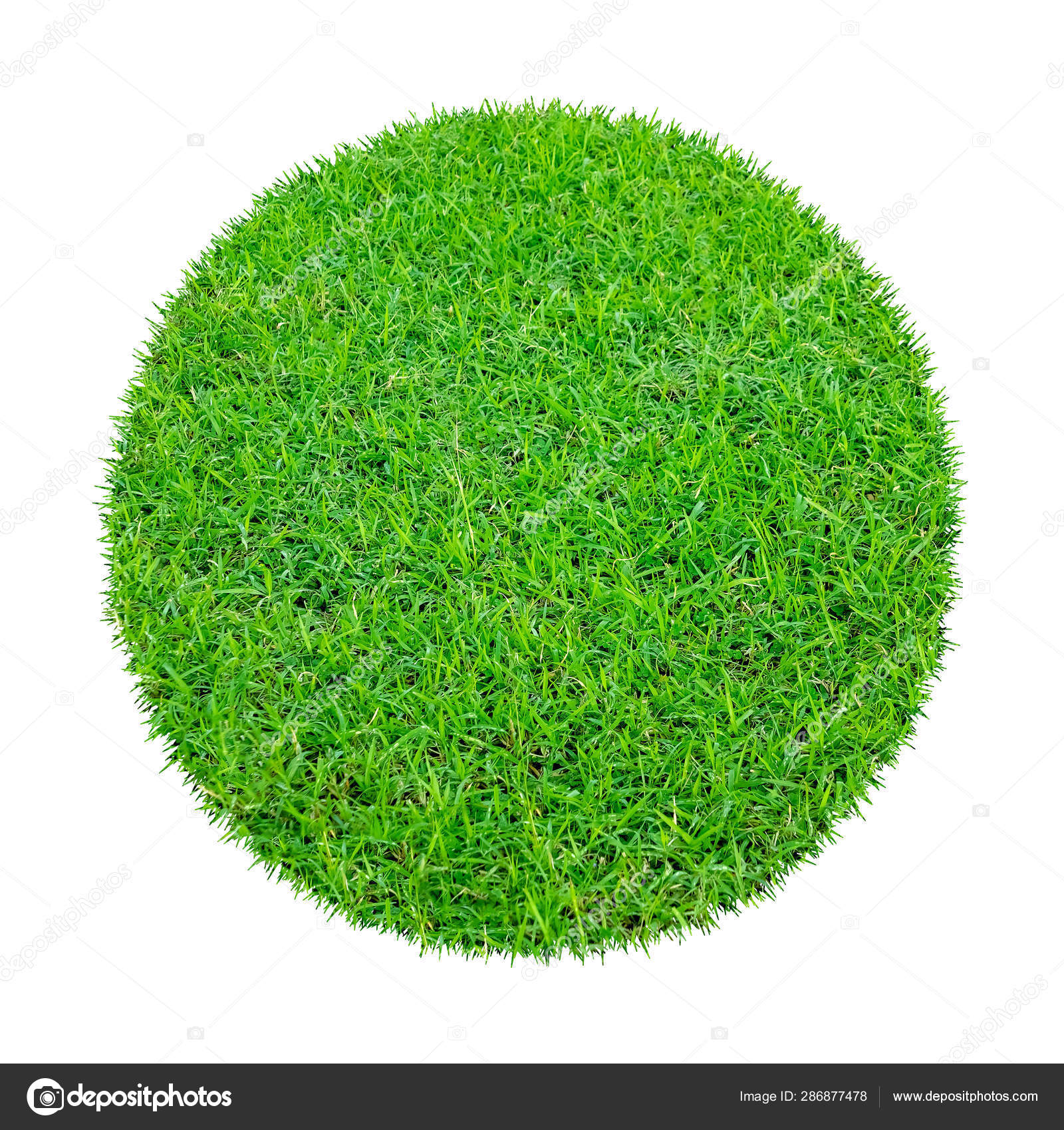 Abstract Green Grass Texture Background Circle Green Grass Pattern ...