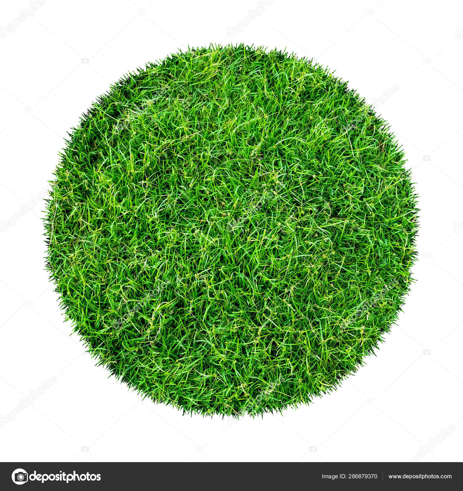 Abstract Green Grass Texture Background Circle Green Grass Pattern ...