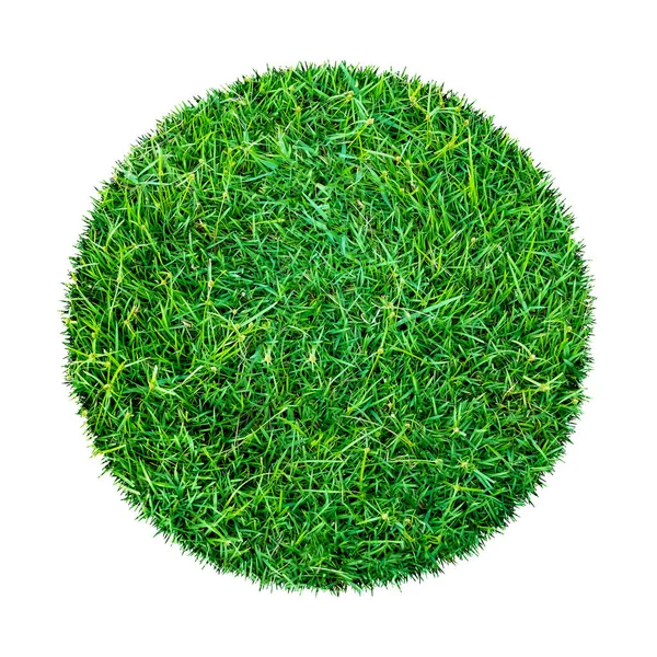 Abstract Green Grass Texture Background Circle Green Grass Pattern ...