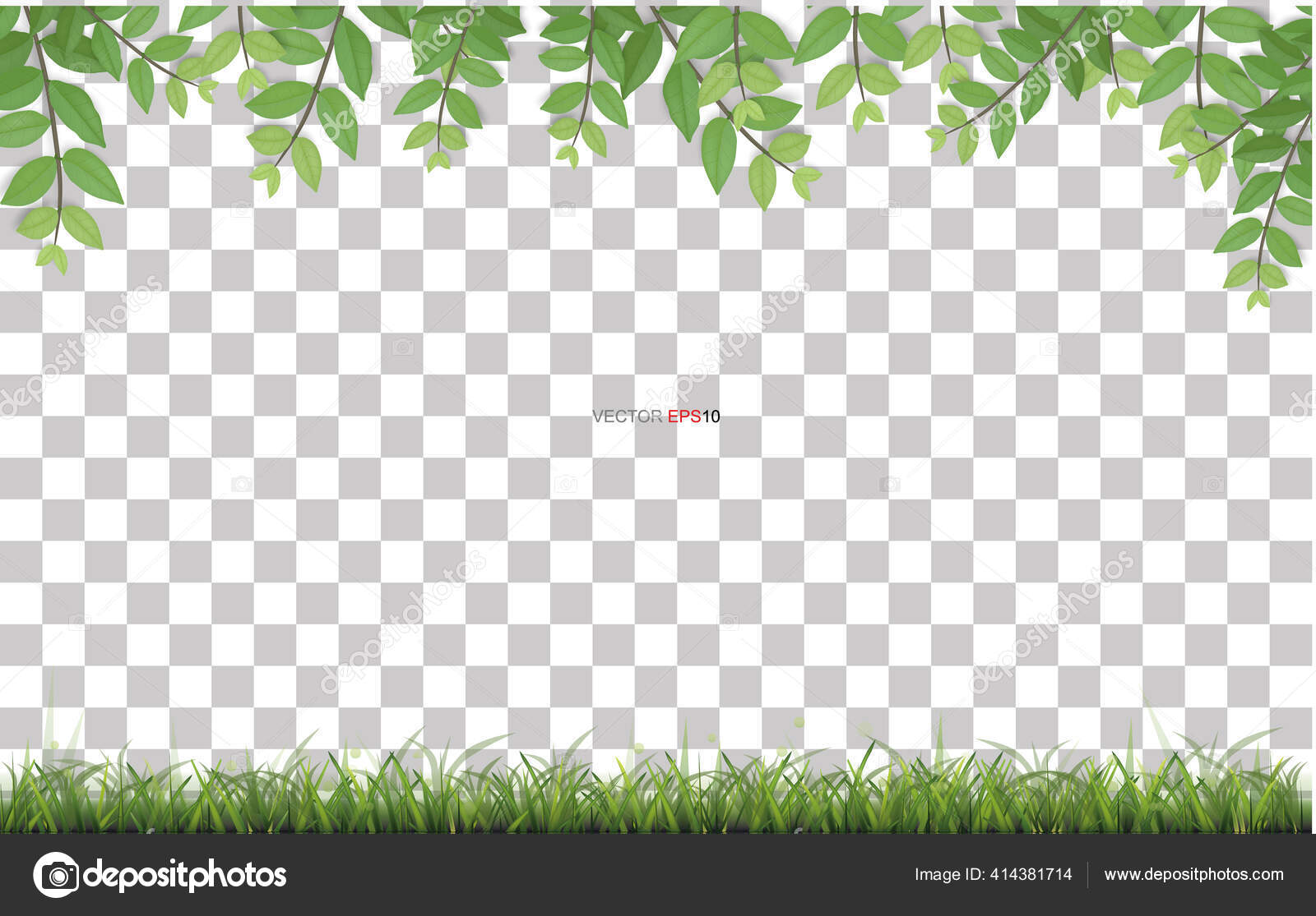 Enmarcado Hojas Verdes Hierba Verde Sobre Fondo Transparente ...
