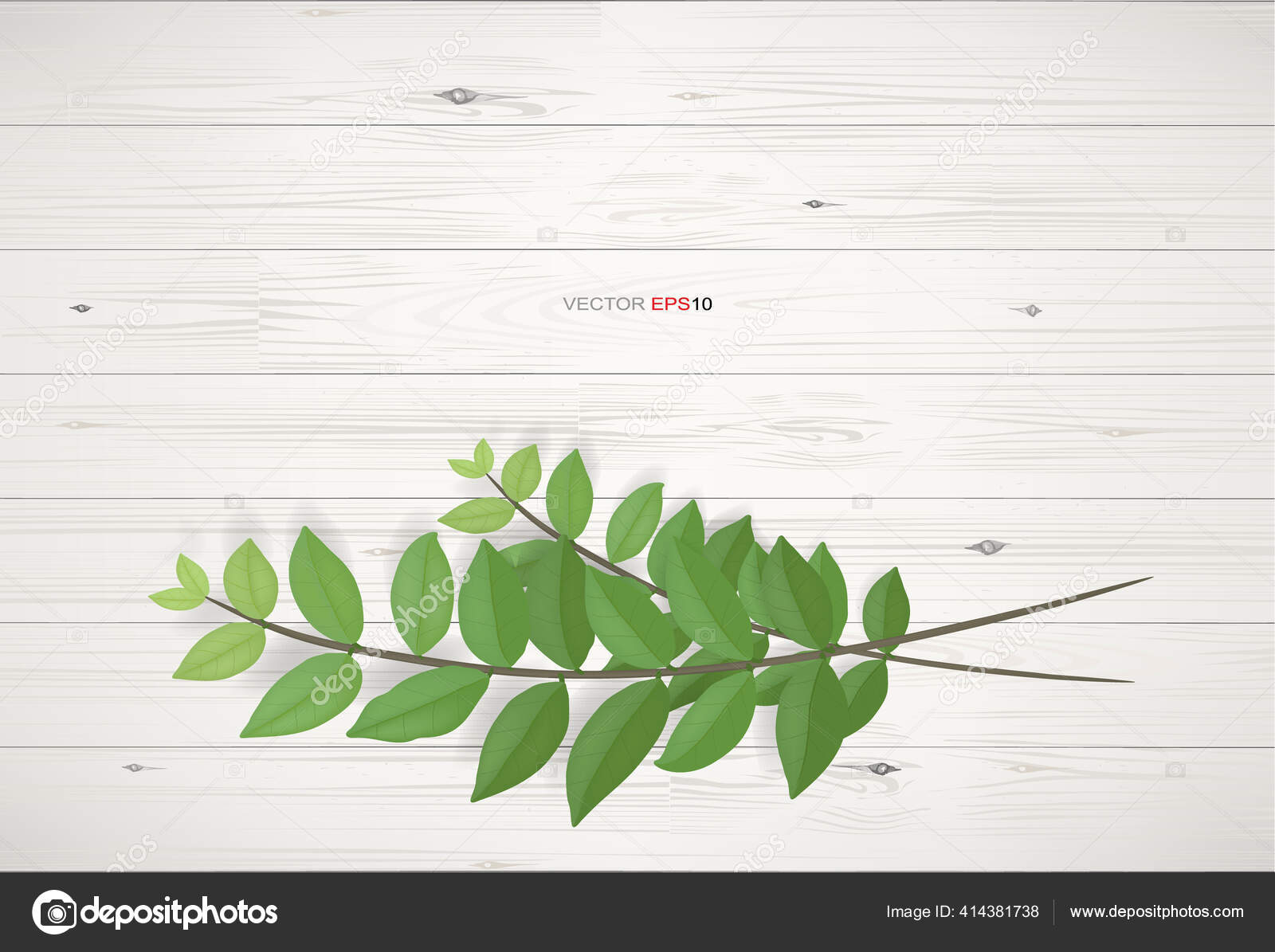 Fondo Textura Madera Con Hojas Verdes Ilustración Vectorial Realista ...