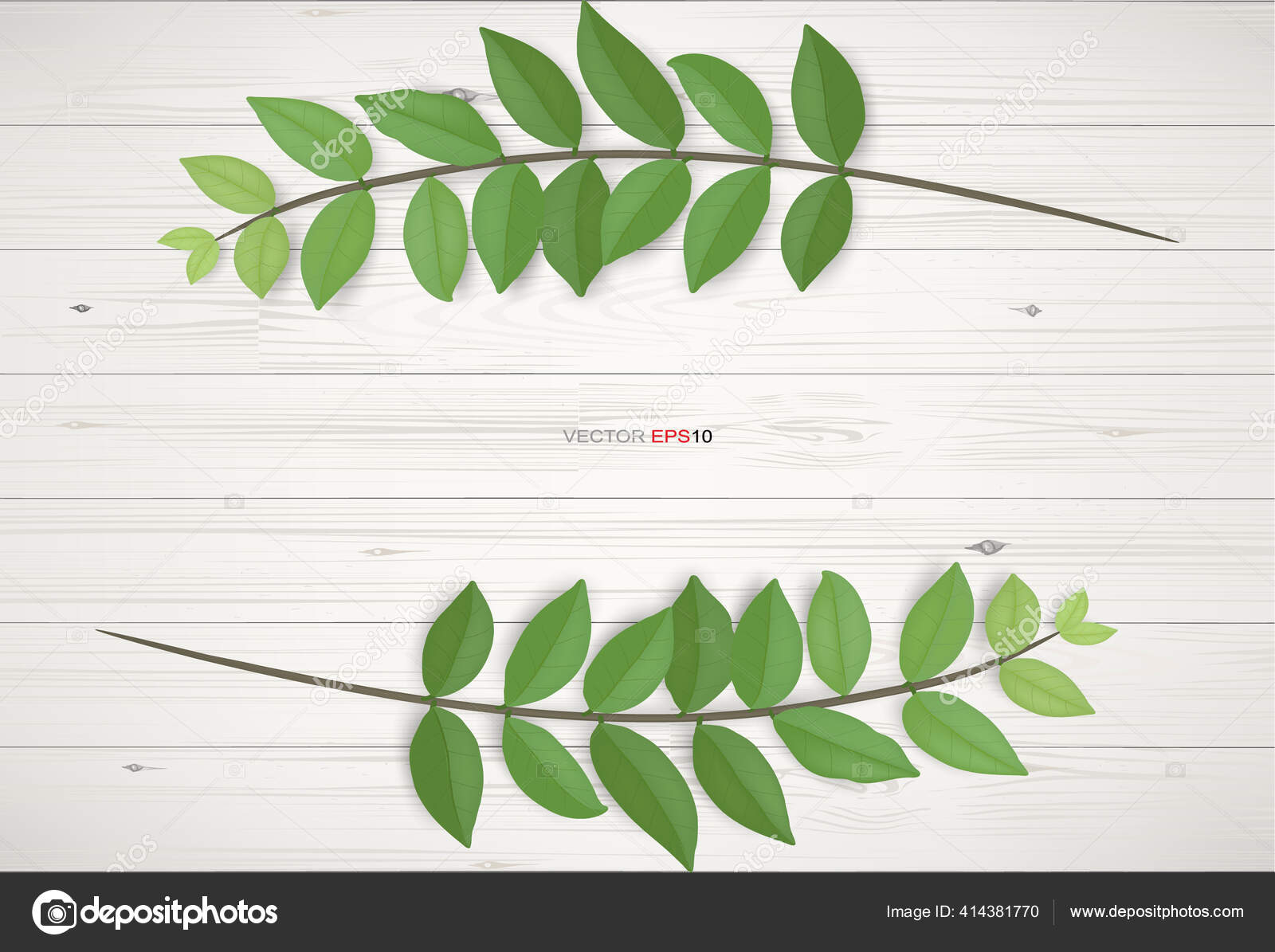 Wood Texture Background Green Leaves Realistic Vector Illustration ...