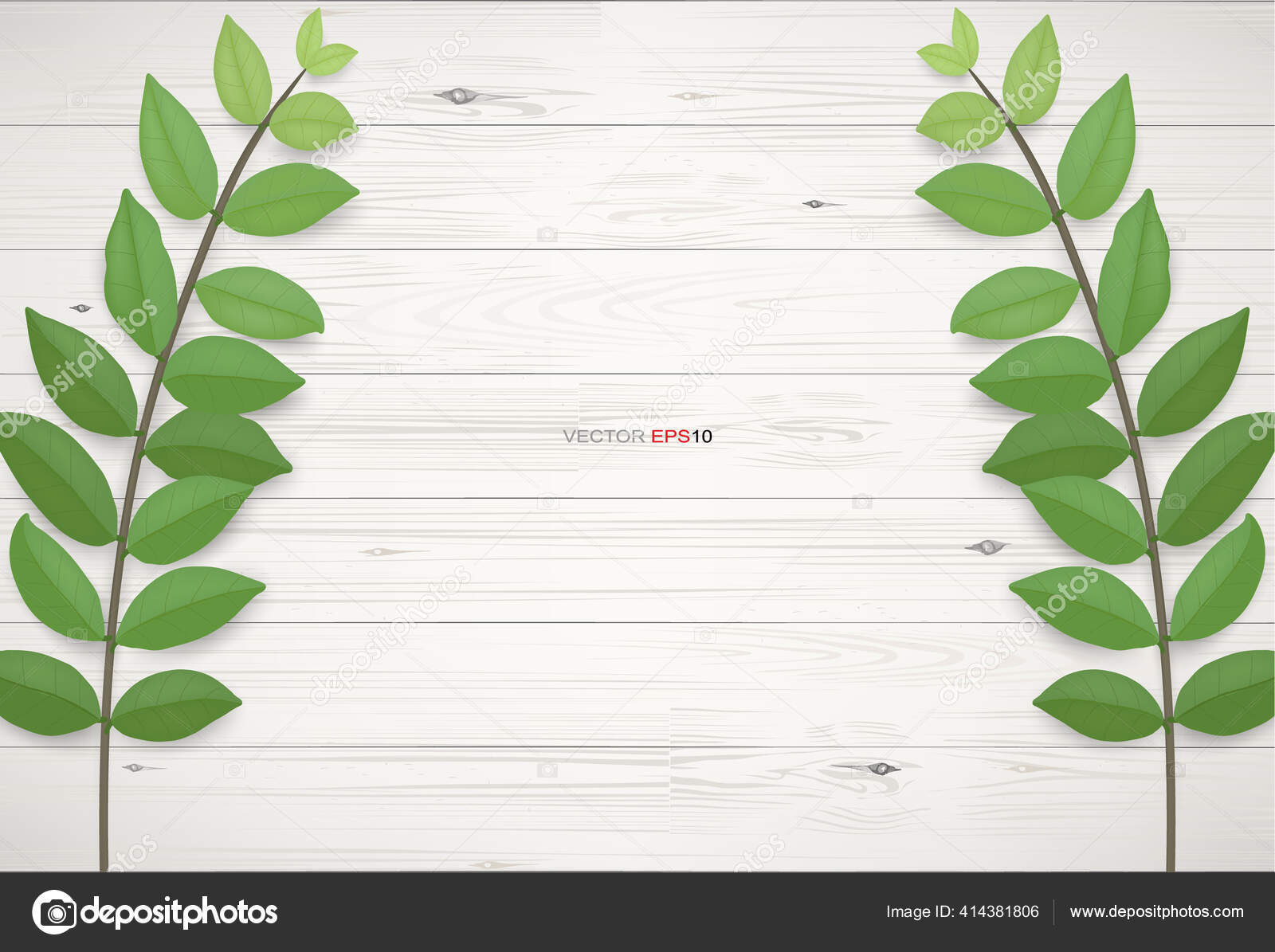 Fondo Textura Madera Con Hojas Verdes Ilustración Vectorial Realista ...