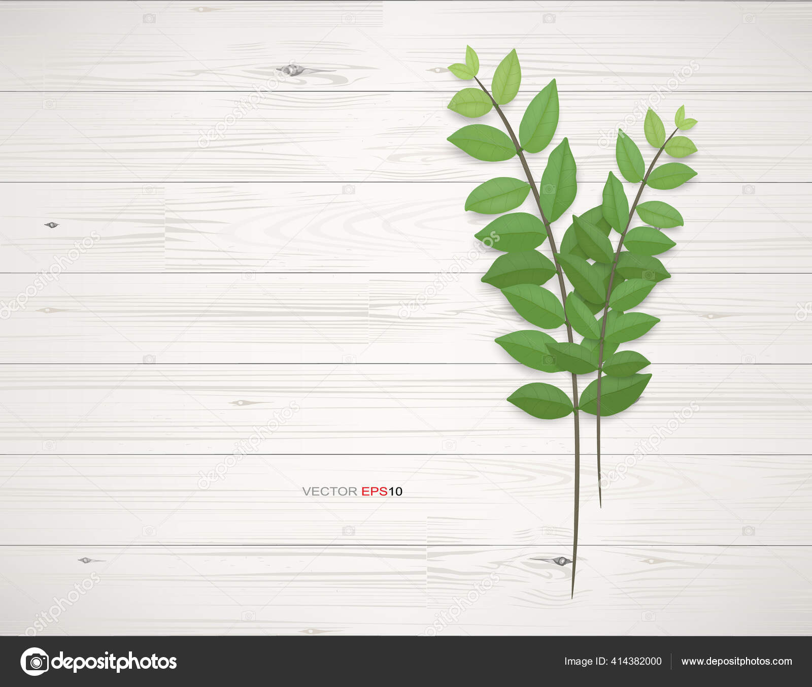 Wood Texture Background Green Leaves Realistic Vector Illustration ...