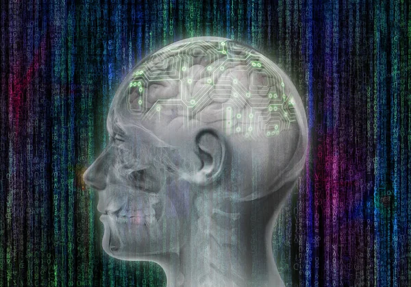 2,120 Wireframe body Stock Photos, Images | Download Wireframe body ...