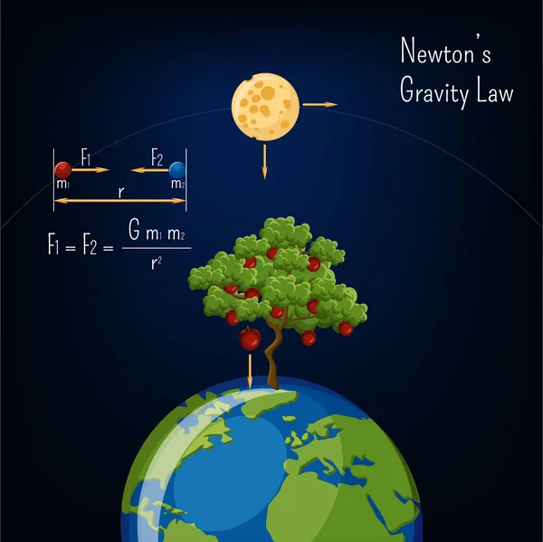 Gravitational Force Images