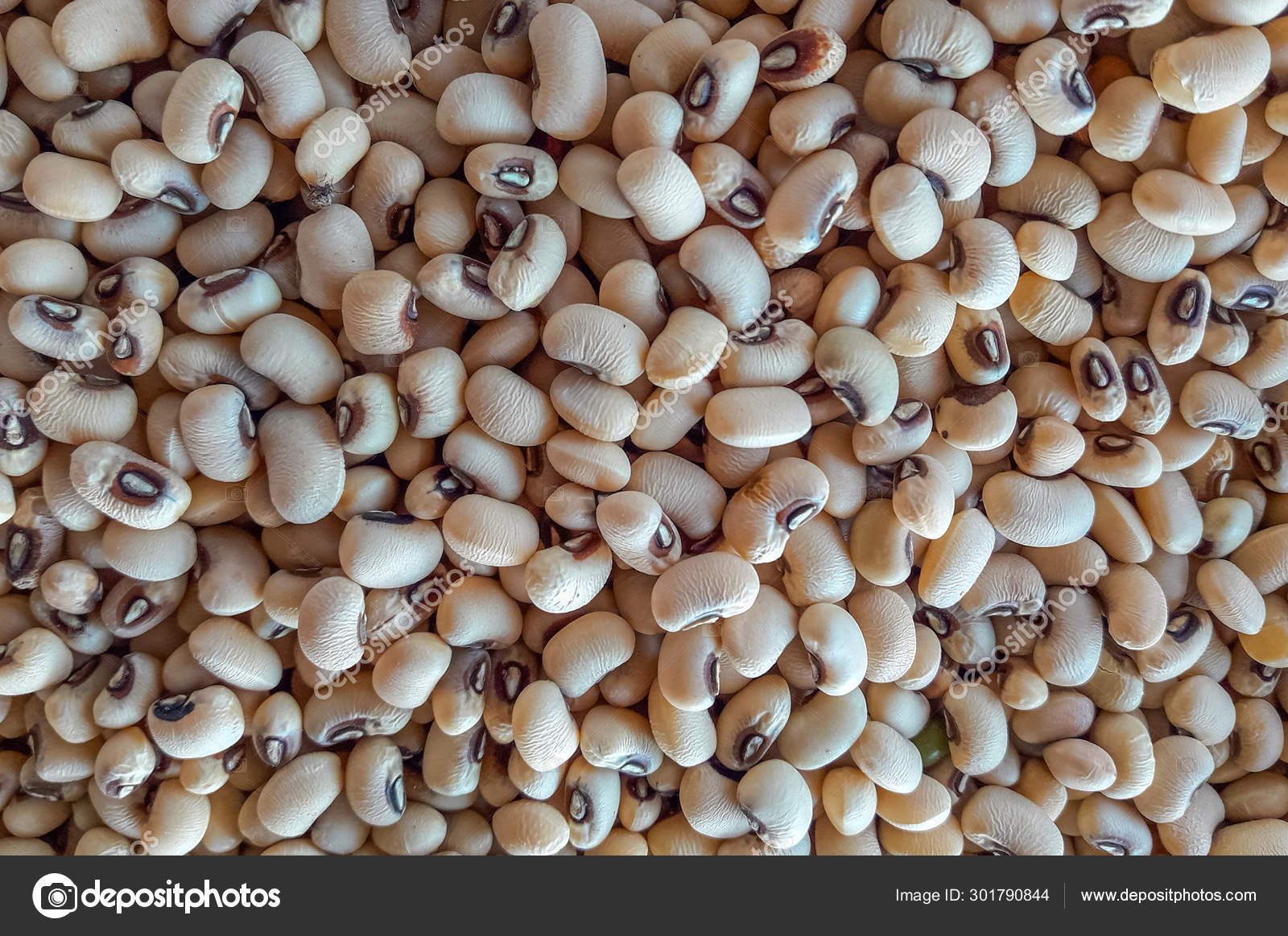 White Beans Texture Background — Stock Photo © ndwarraich.gmail.com ...