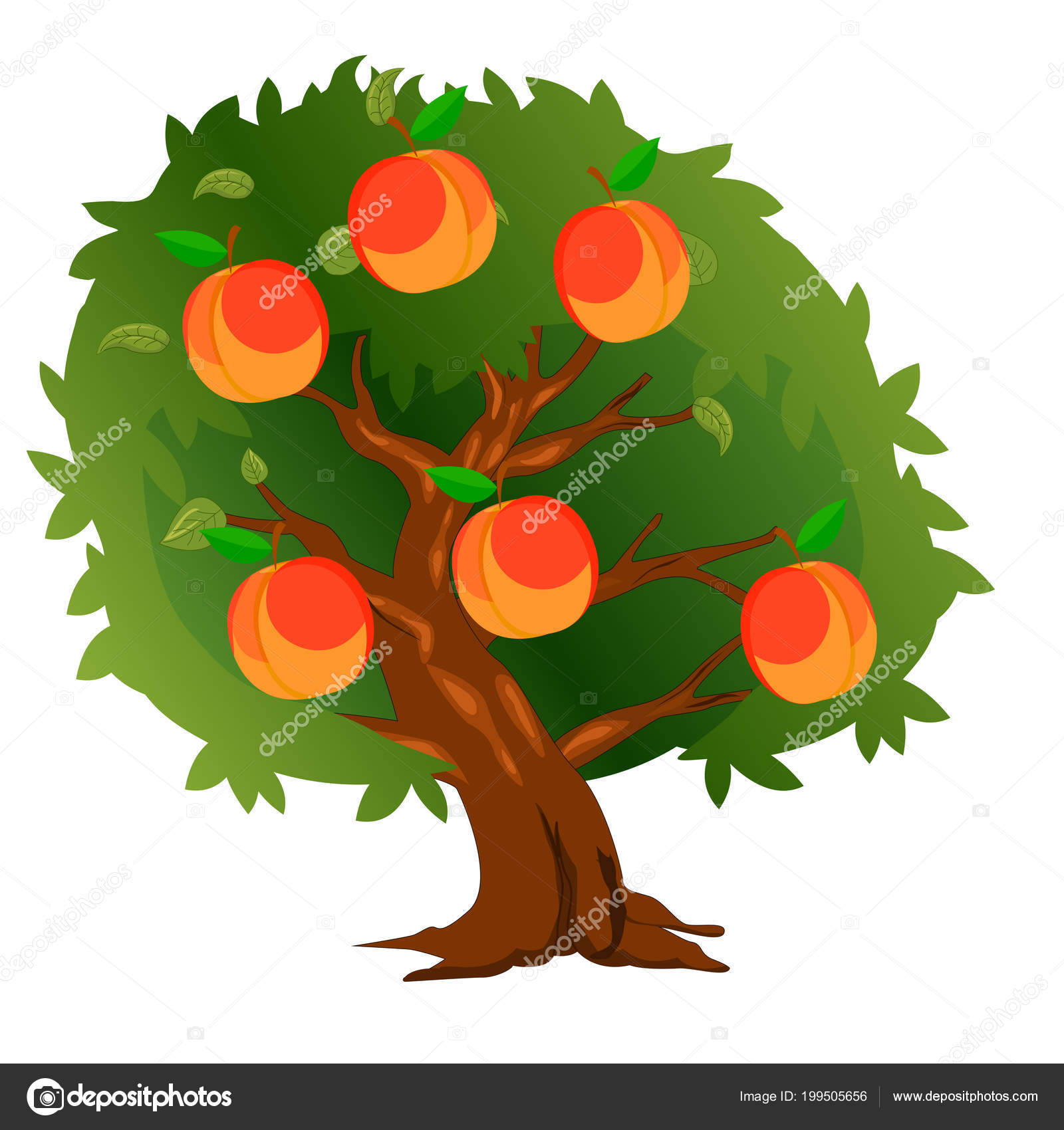 Peach Tree Clip Art 14,872 Peach Tree Stock Vectors And Vector Art