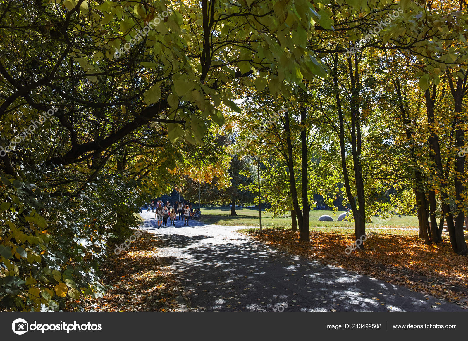 Sofia Bulgaria October 2017 Autumn View Yellow Trees South Park — Stock ...