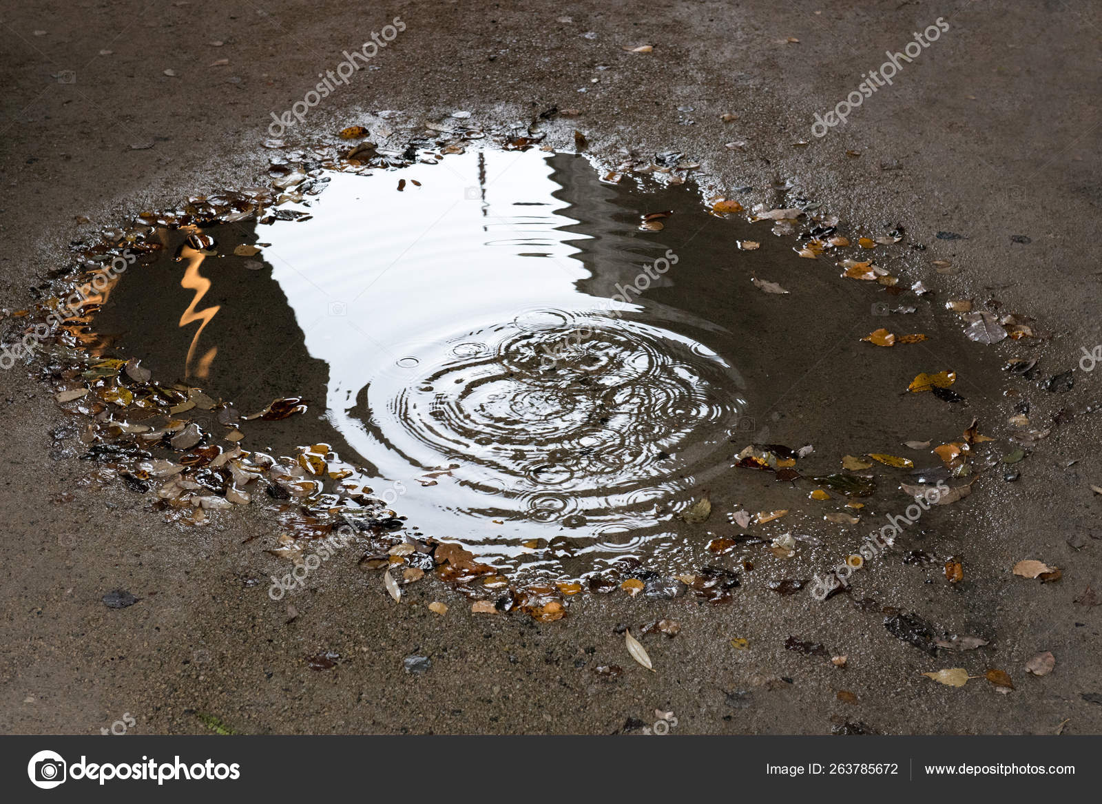 Puddle Drops Road Stock Photo by ©njaj 263785672