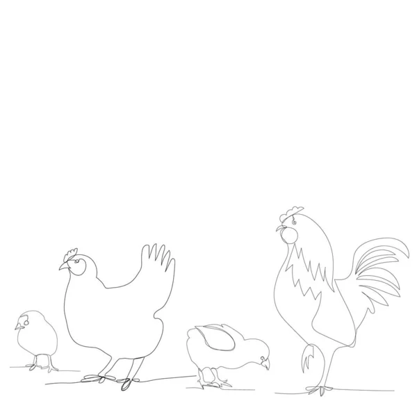 Chickens line drawing Stock Photos, Royalty Free Chickens line drawing ...