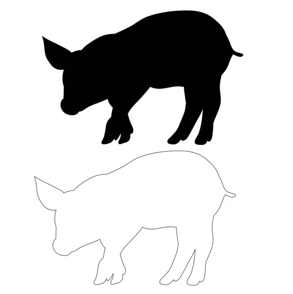 Porco ibérico preto Vector Art Stock Images | Depositphotos