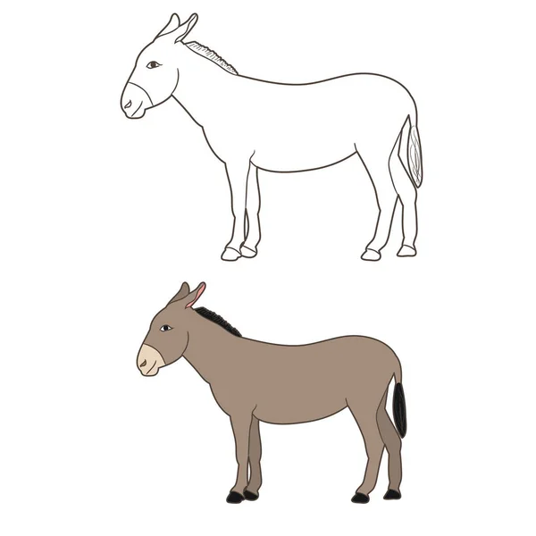 100,000 Donkey sitting Vector Images | Depositphotos