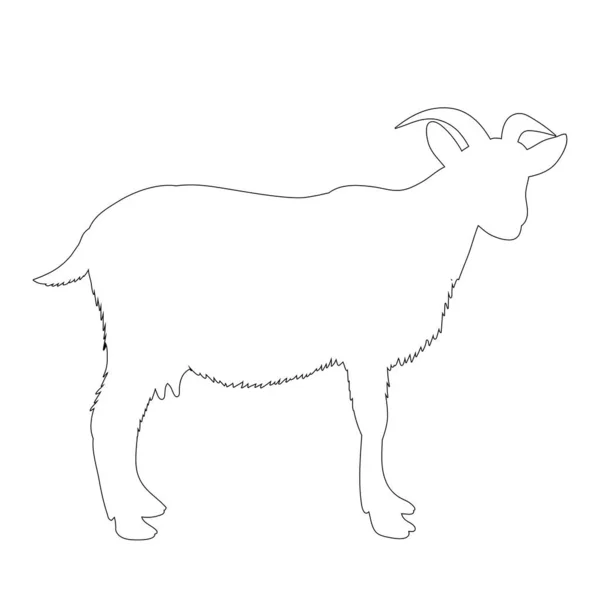 Goat Drawing Outline