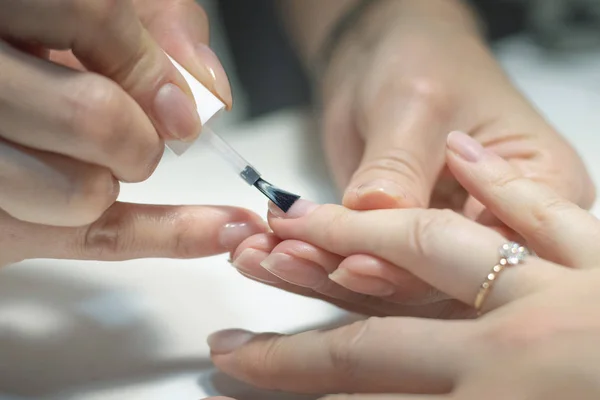Manicurist is applying a nail base gel on a female finger nails. Nail ...