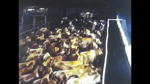 9,625 Vintage retro alimentos Videos, Royalty-free Stock Vintage retro ...