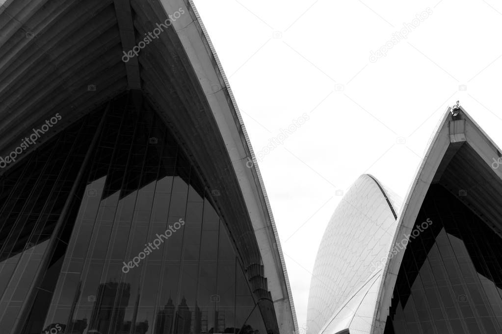 Sydney Australia 02 De Junio De 2018 Vista De Cerca De La