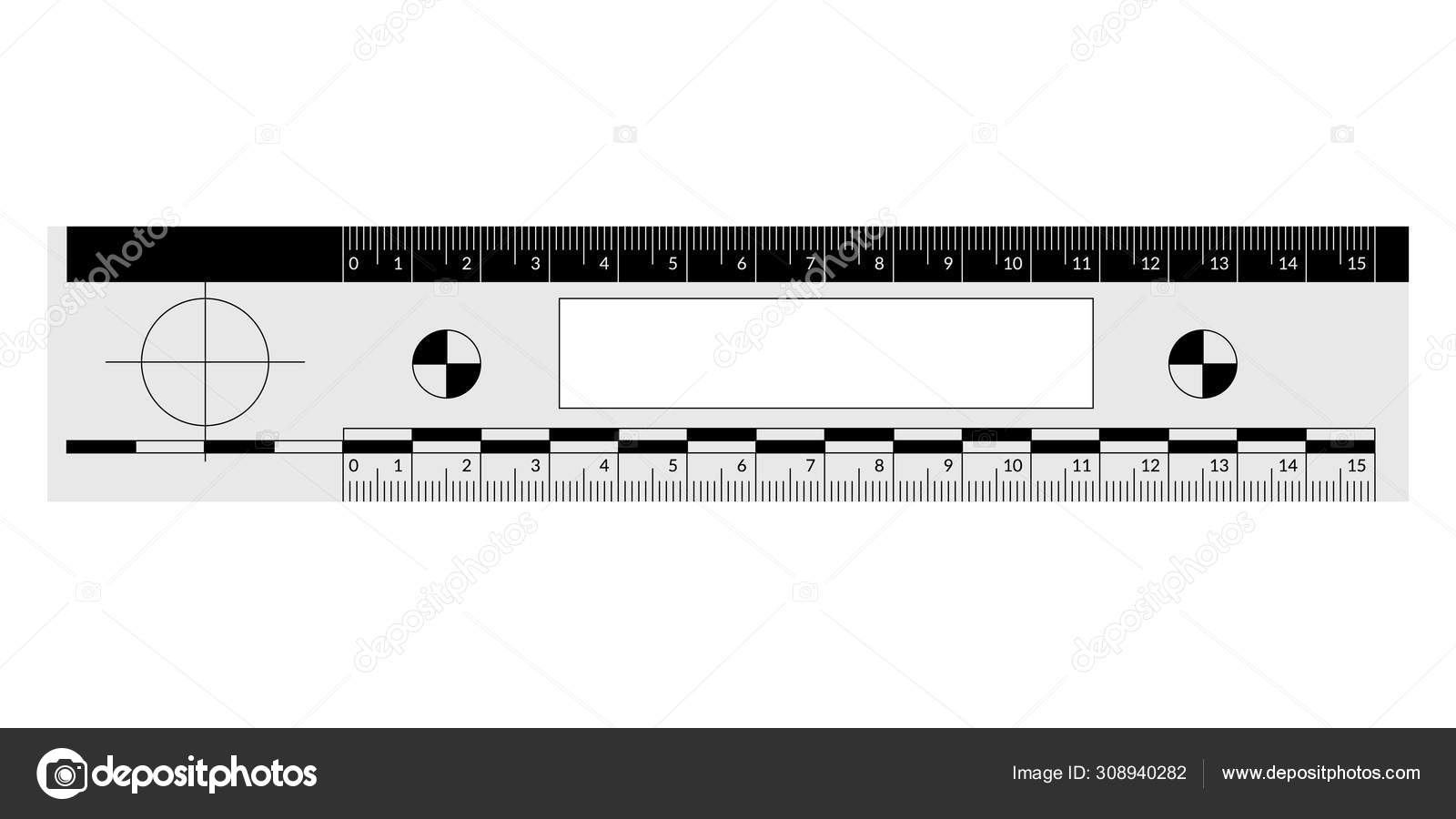 Forensic ruler for the measuring of a crime scene evidence. Stock ...