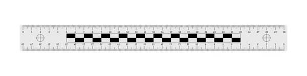 Medida forense Vector Art Stock Images | Depositphotos