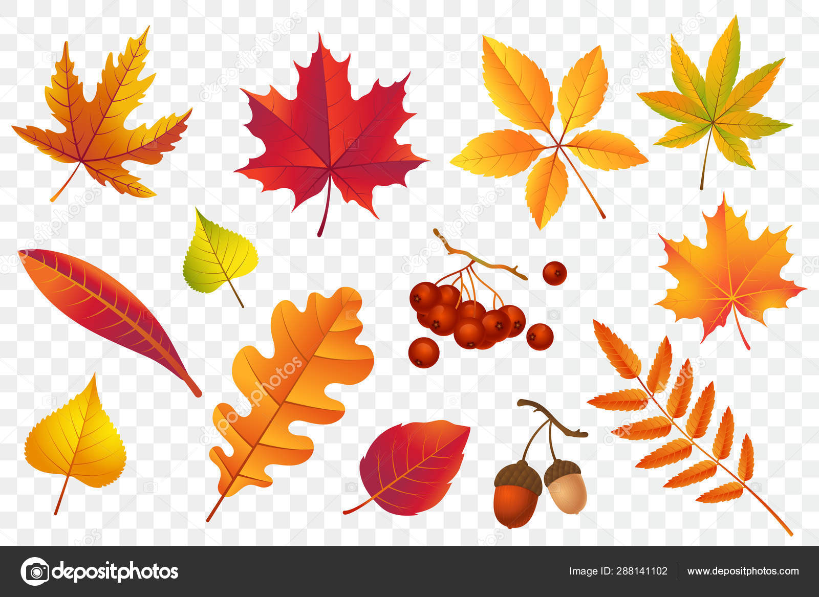 Yellow Fall Leaf Clipart