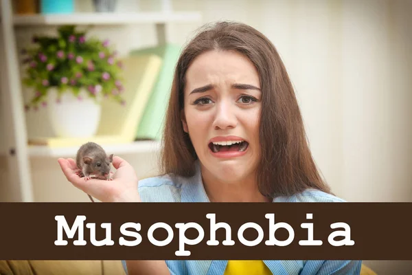 Musophobia Stock Photos, Royalty Free Musophobia Images | Depositphotos®