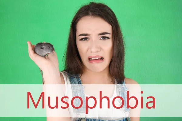 Musophobia Stock Photos, Royalty Free Musophobia Images | Depositphotos®