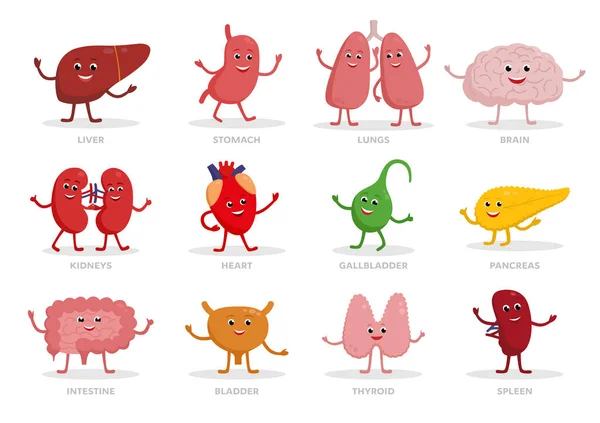 ᐈ Cute pancreas cartoon stock vectors, Royalty Free happy pancreas ...