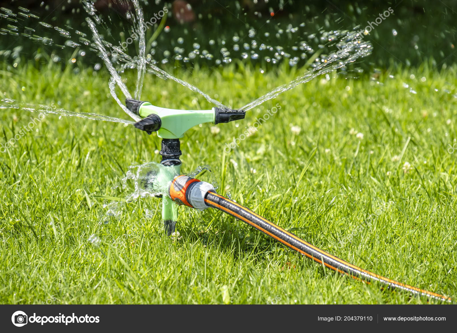 Sprinkler of automatic watering system working in the hot summer ...