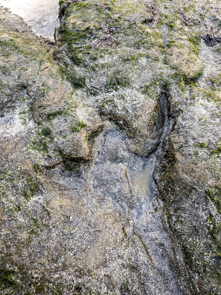 Las famosas huellas de dinosaurios en la playa An Corran de Staffin en ...